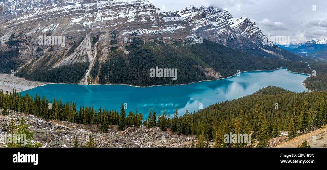 Beautiful blue Peyto Lake, Banff national Park, Alberta, Canada Stock ...
