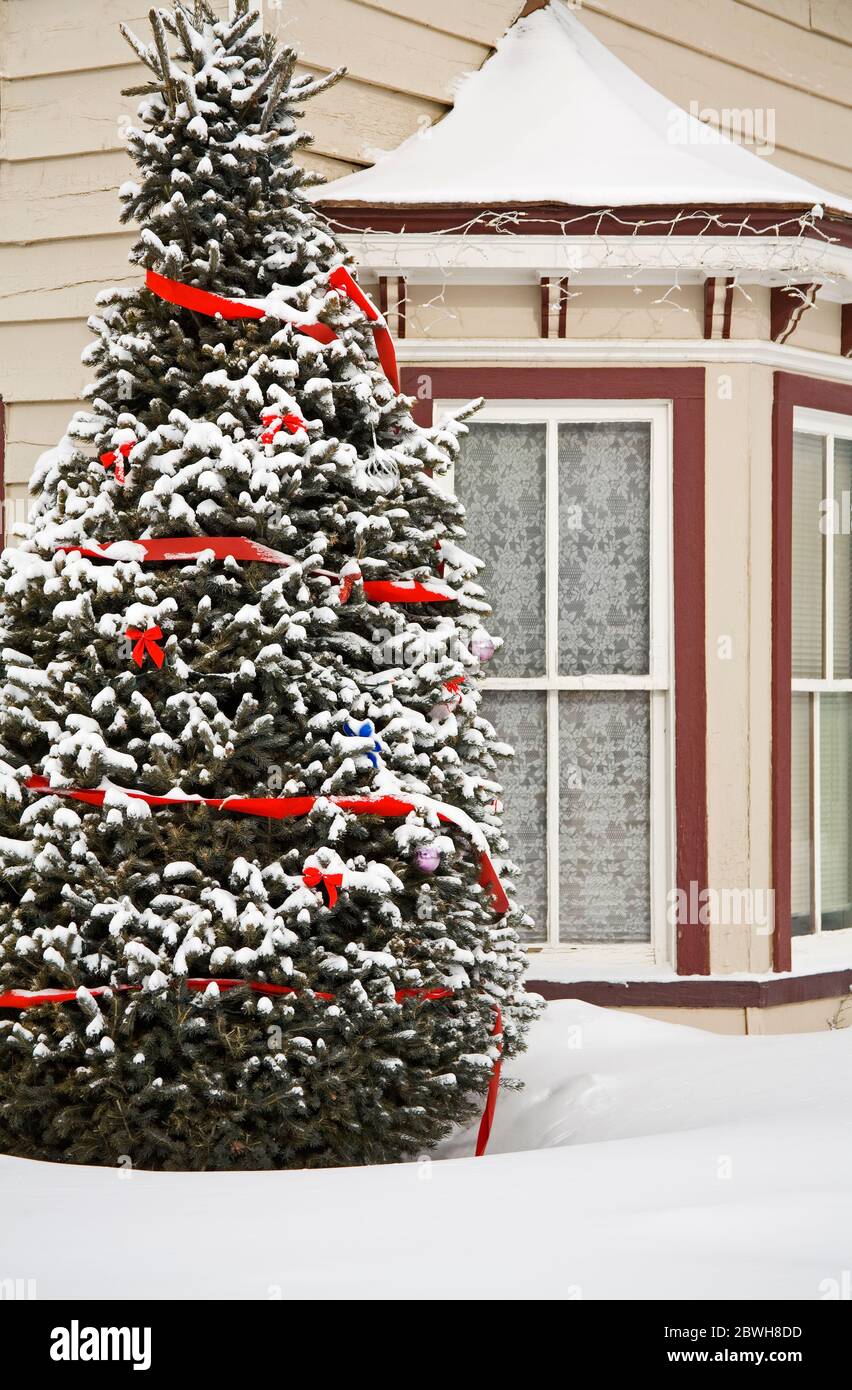 Breckenridge colorado christmas tree hi-res stock photography and ...