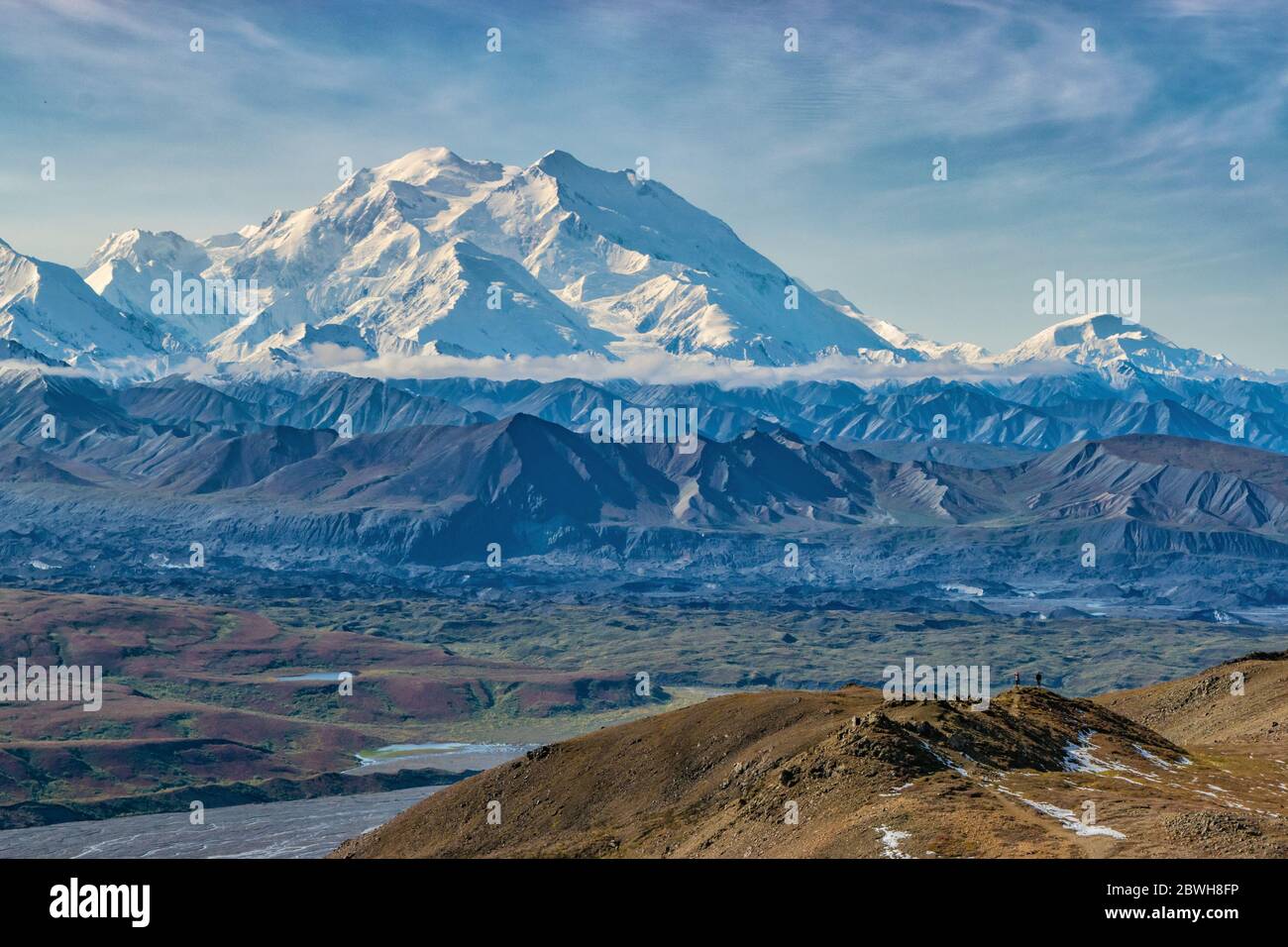 View of the Mount Denali, Denali National park, Alaska, USA Stock Photo ...