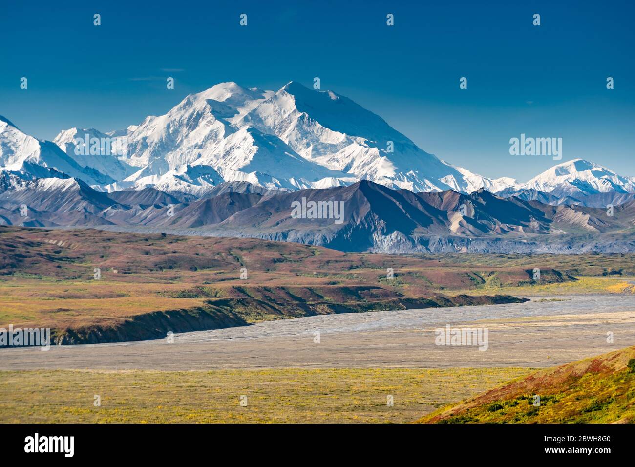 View of the Mount Denali, Denali National park, Alaska, USA Stock Photo ...