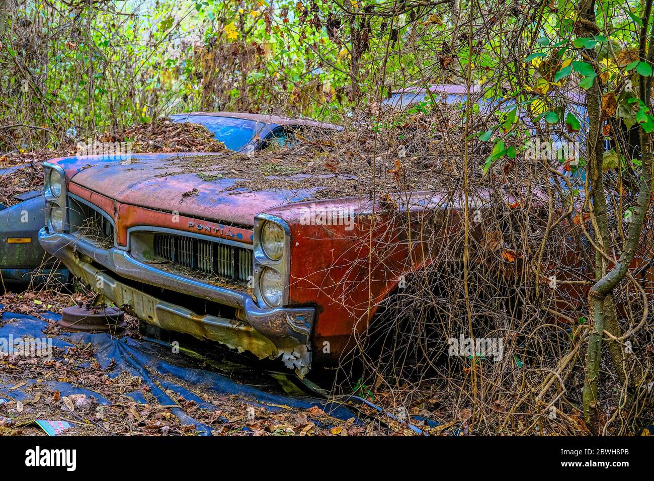 Old rusty pontiac hi-res stock photography and images - Alamy