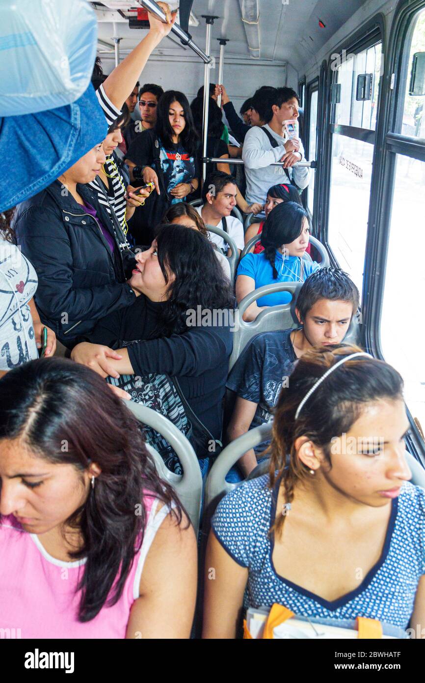 Free pumabus hi-res stock photography and images - Alamy