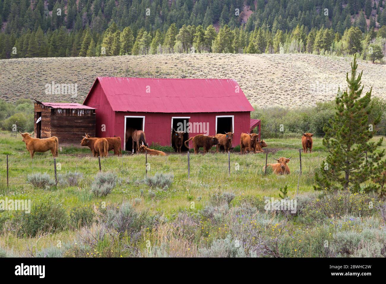 Colorado farm history hi-res stock photography and images - Alamy