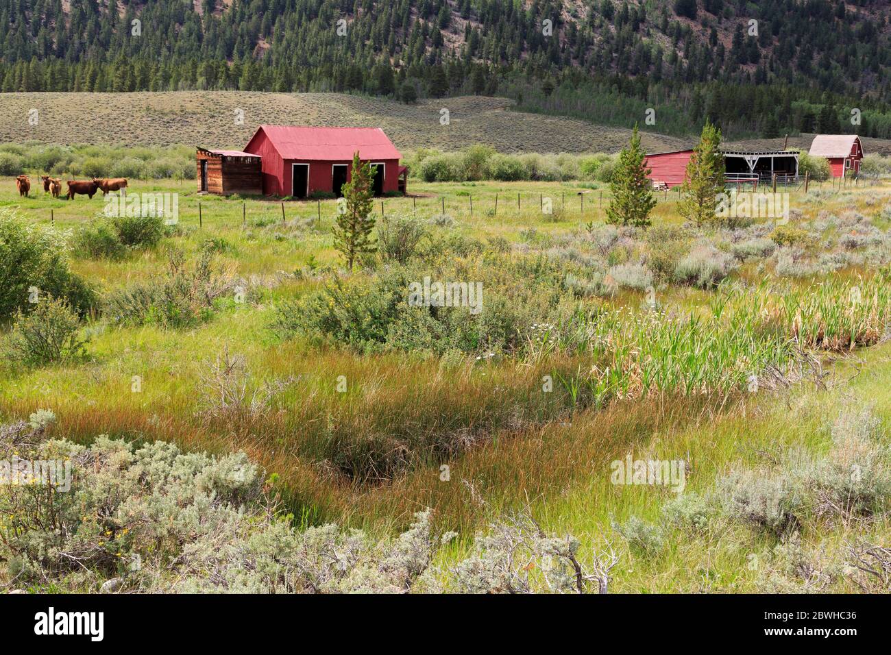 Colorado farm history hi-res stock photography and images - Alamy