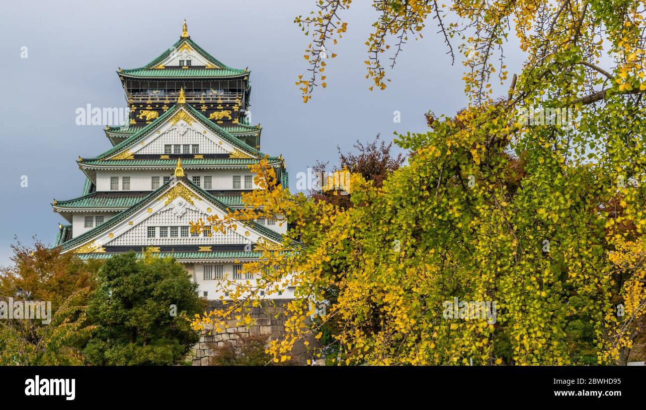 Osaka castle with the fall colors, Japan Stock Photo - Alamy