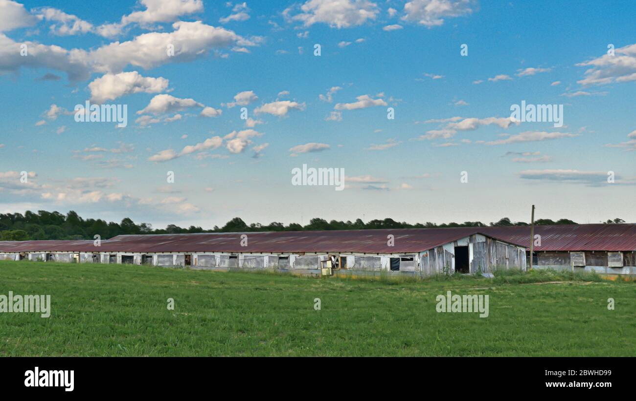 Spring grass surrounds rural hi-res stock photography and images - Alamy