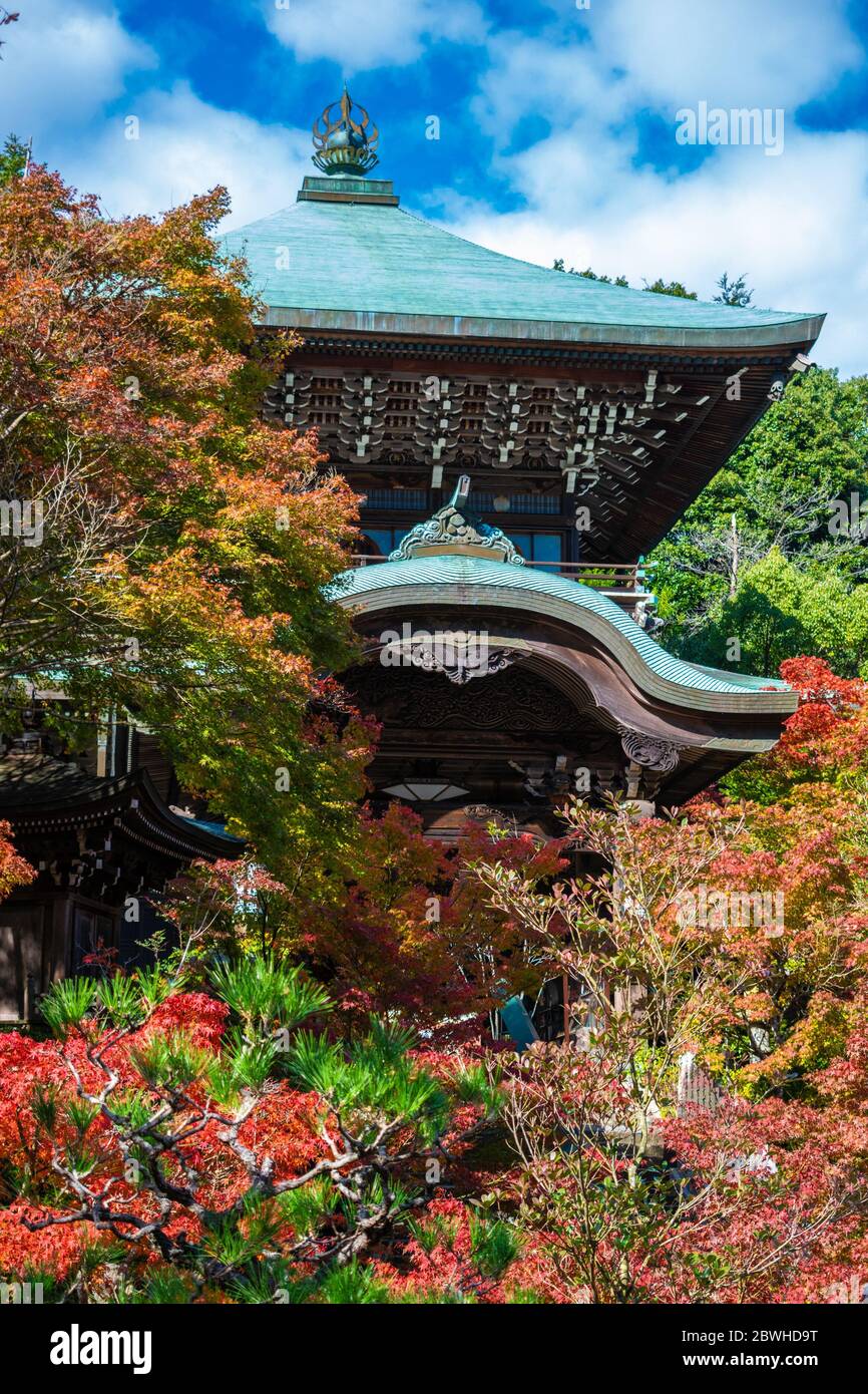 Beautiful shrine with fall foliage, miyajima island, Hiroshima, Japan ...