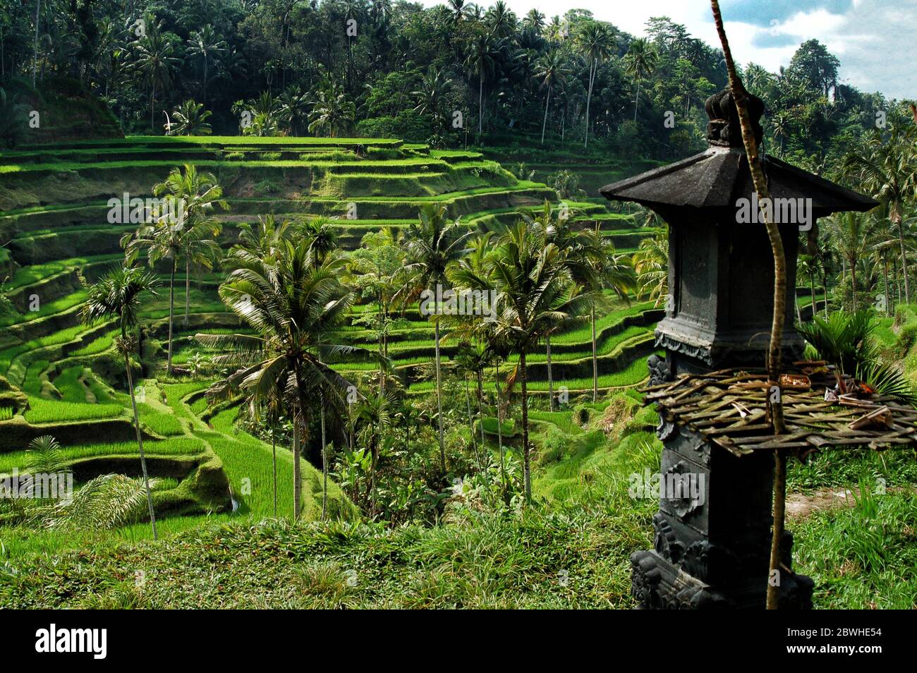 Bali indonesia shrine in rice hi-res stock photography and images - Alamy