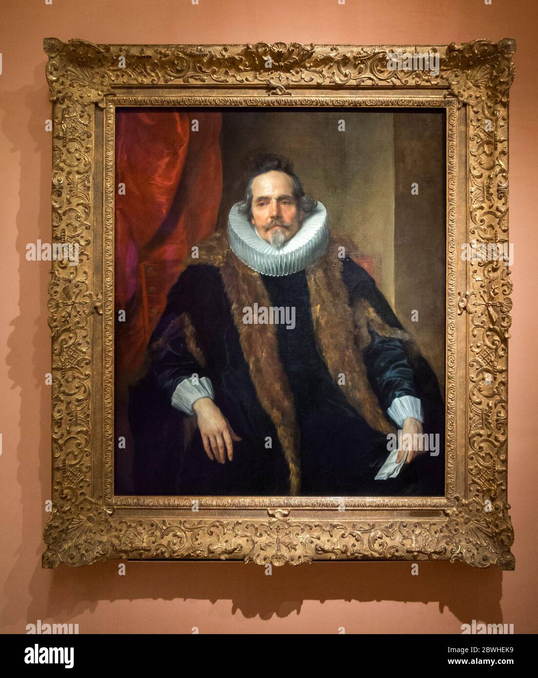 Retrato de Jacques Le Roy. Anton van Diyck. Museo Nacional Thyssen-Bornemisza. Madrid. España ...