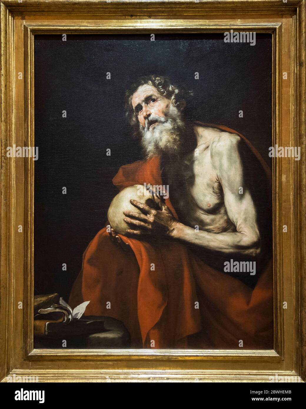 San Jerónimo penitente. José de Ribera. Museo Nacional Thyssen ...