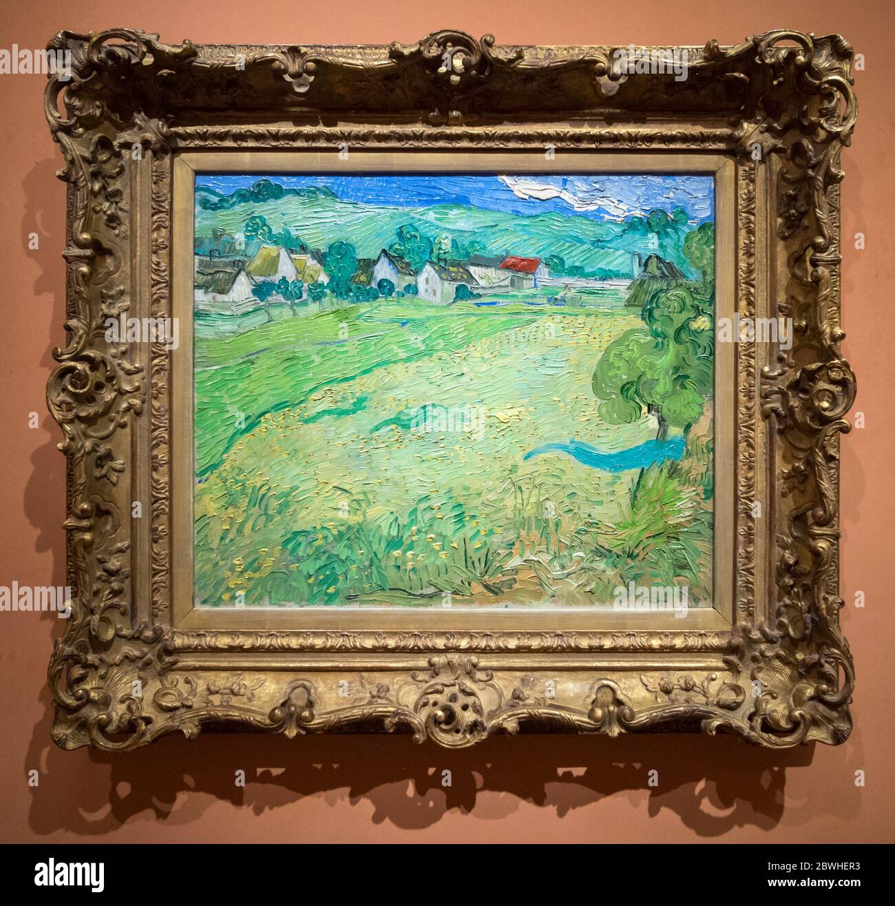 Les Vessenots en Auvers. Vincent van Gogh. Museo Nacional Thyssen-Bornemisza. Madrid. España ...