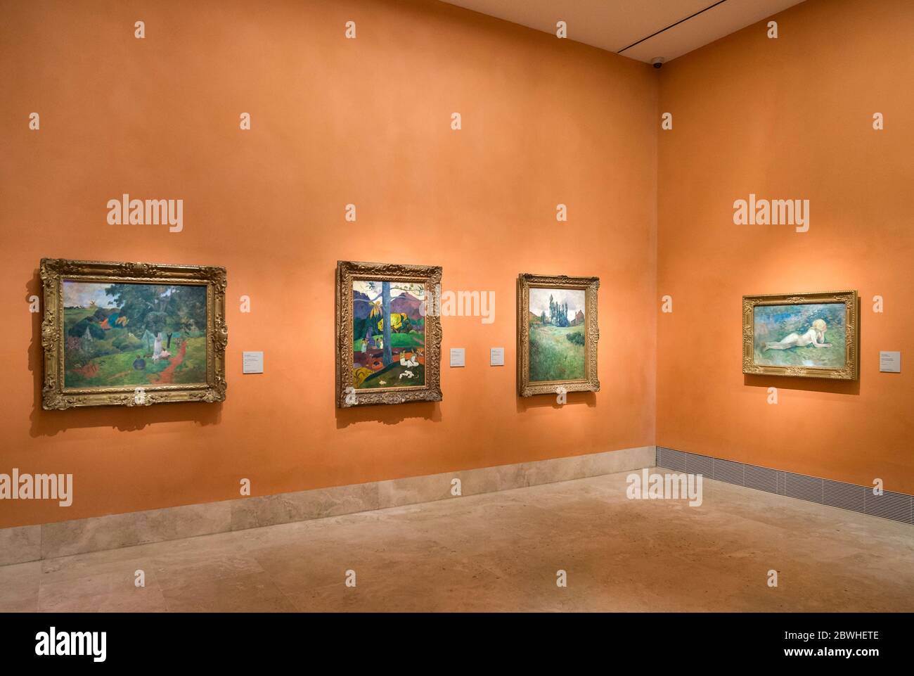 Museo Nacional Thyssen-Bornemisza. Madrid. España Stock Photo - Alamy