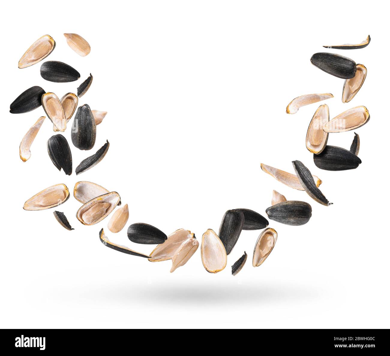 Sunflower shell and seeds on white background Stock Photo - Alamy