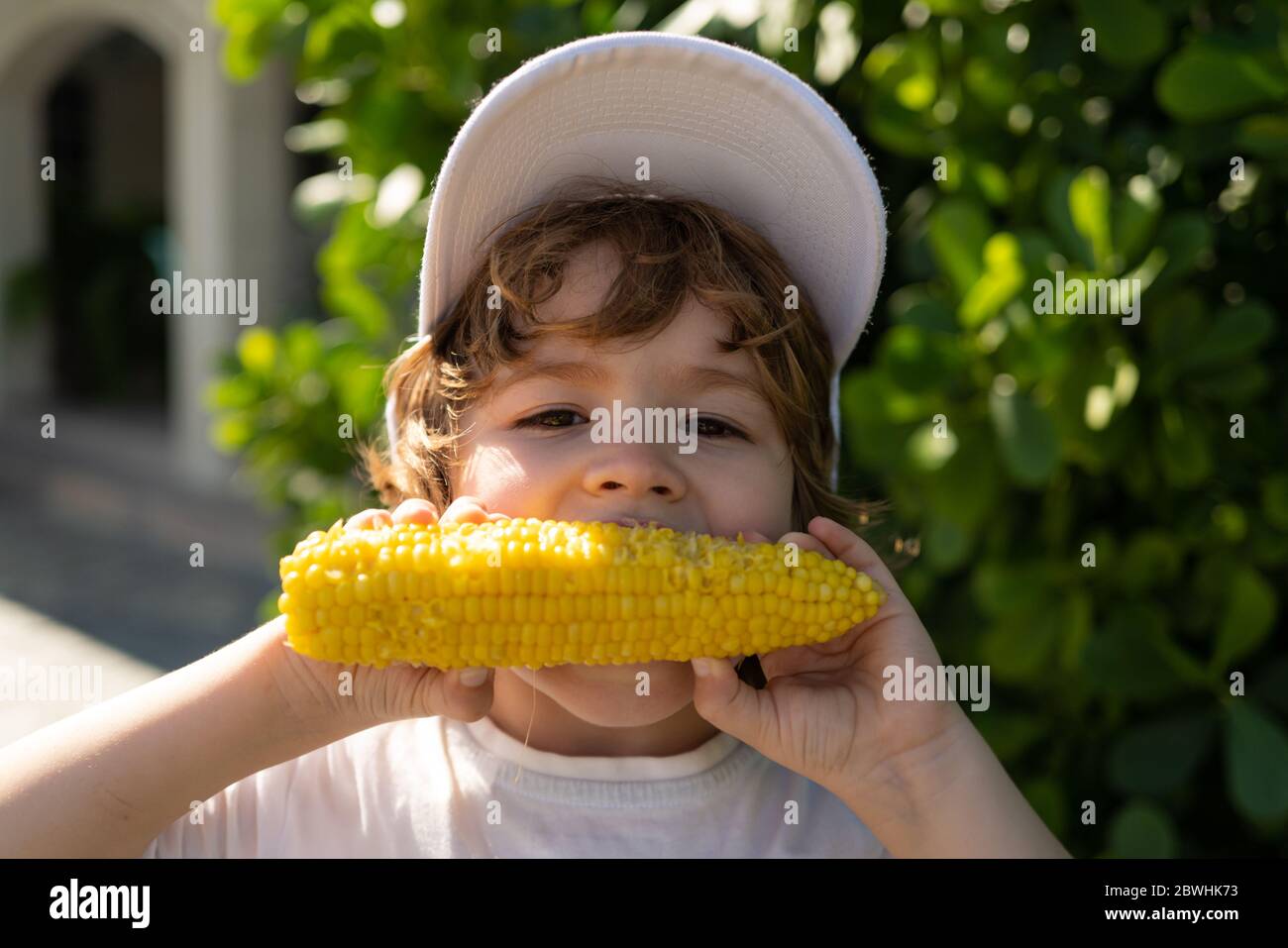 Boy child eating yellow corn with bare chest and funny face, green ...