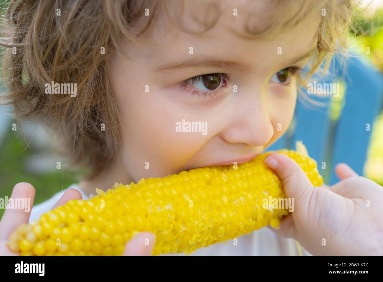 Close up of adorable child eating sweet corn. Boy child eating yellow ...