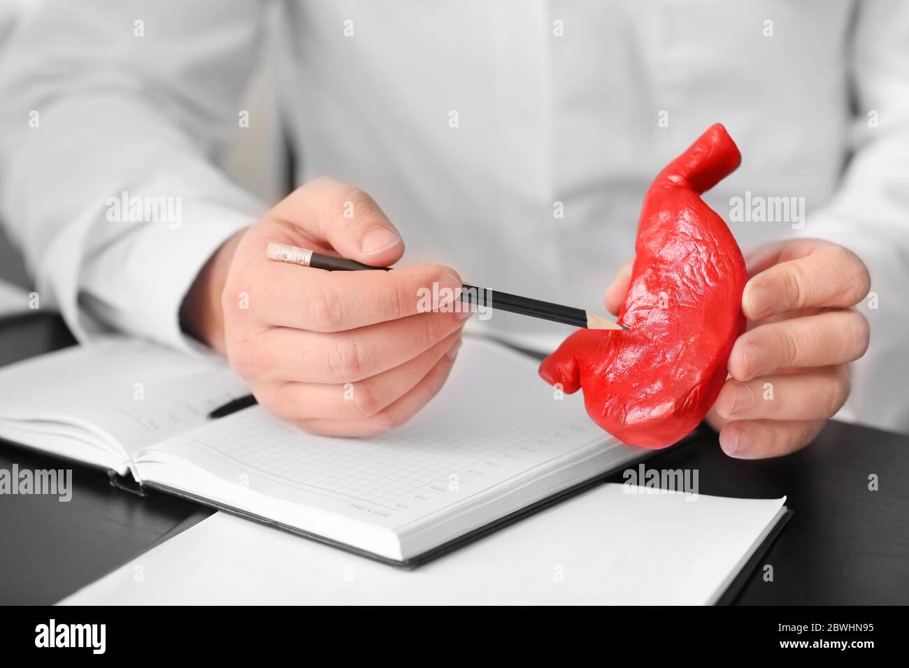 Gastroenterologist with model of stomach in clinic, closeup Stock Photo ...