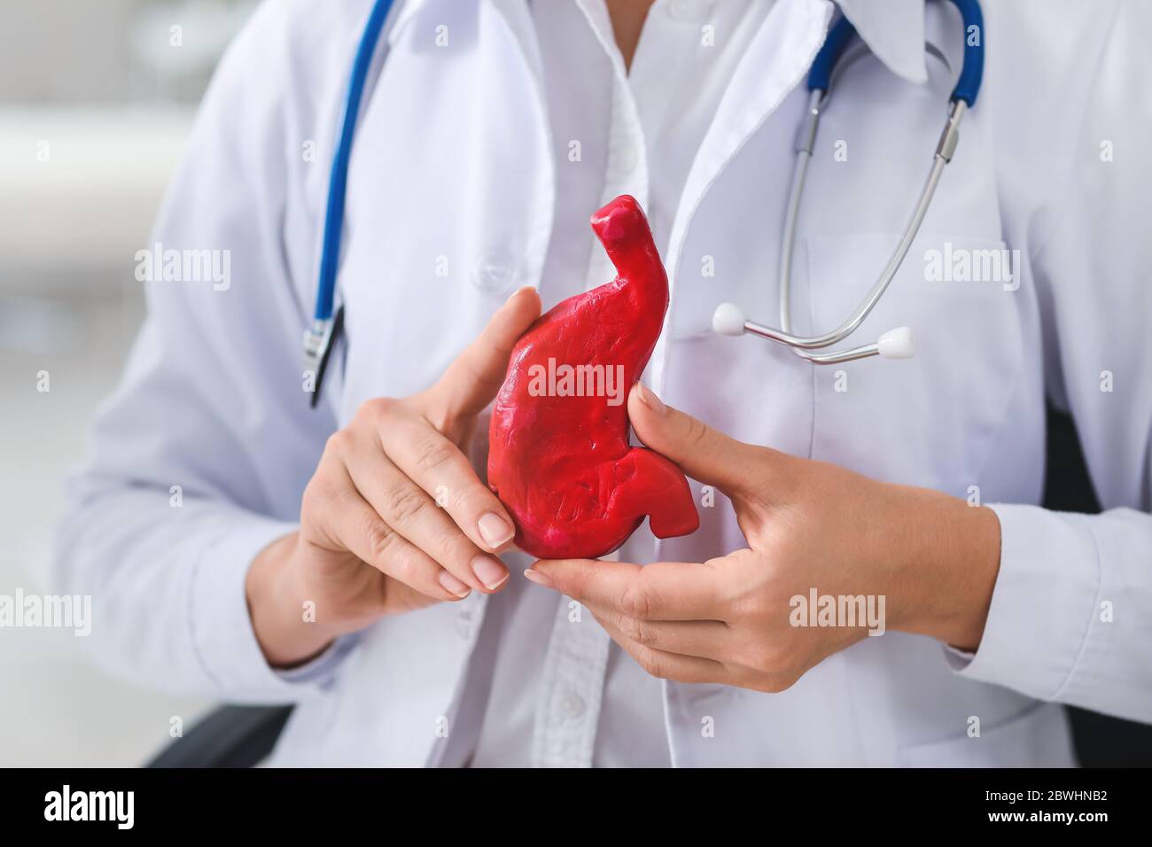 Gastroenterologist with model of stomach in clinic, closeup Stock Photo ...