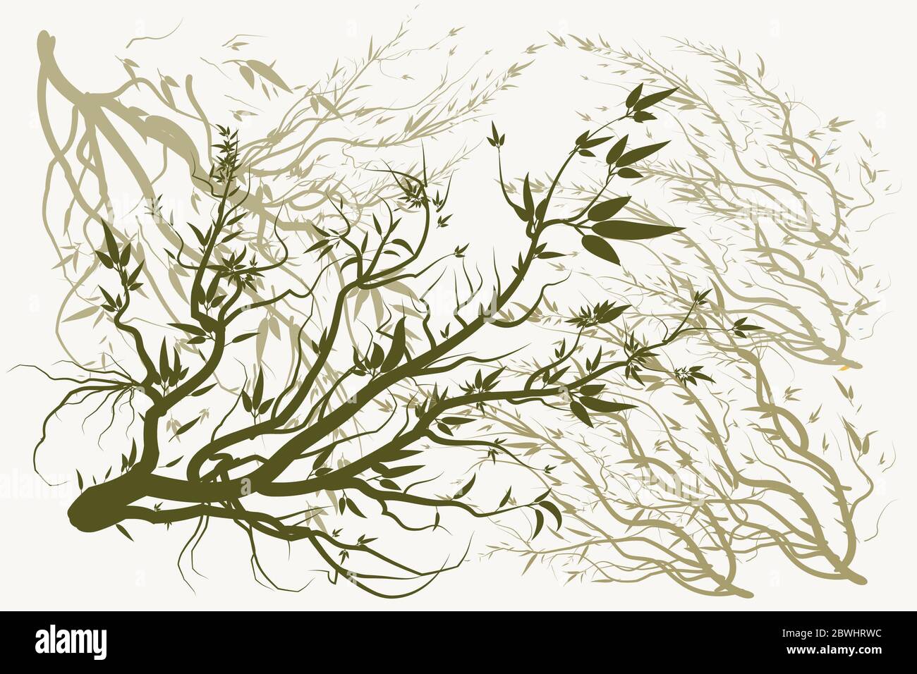 Tree and branches. vector illustration Stock Photo - Alamy