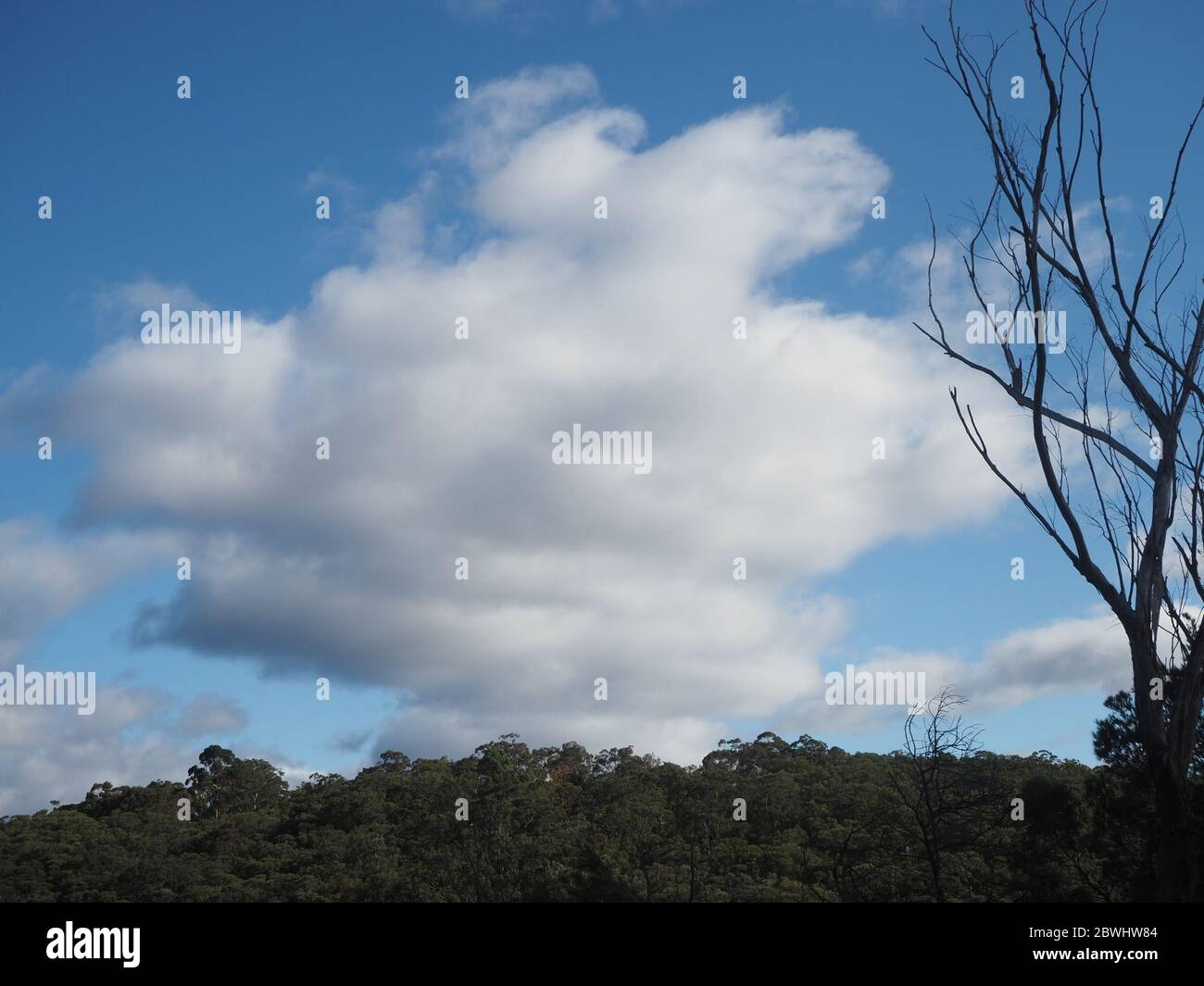 sunny day outside with some cloud Stock Photo - Alamy