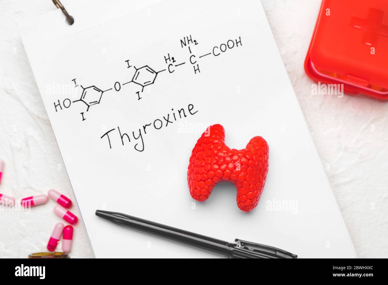 Notebook with chemical formula of thyroxine, model of thyroid gland and ...