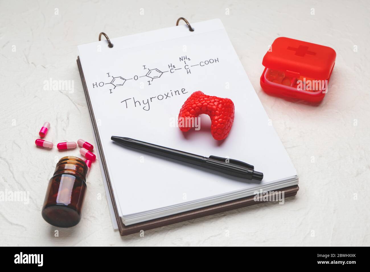 Notebook with chemical formula of thyroxine, model of thyroid gland and ...
