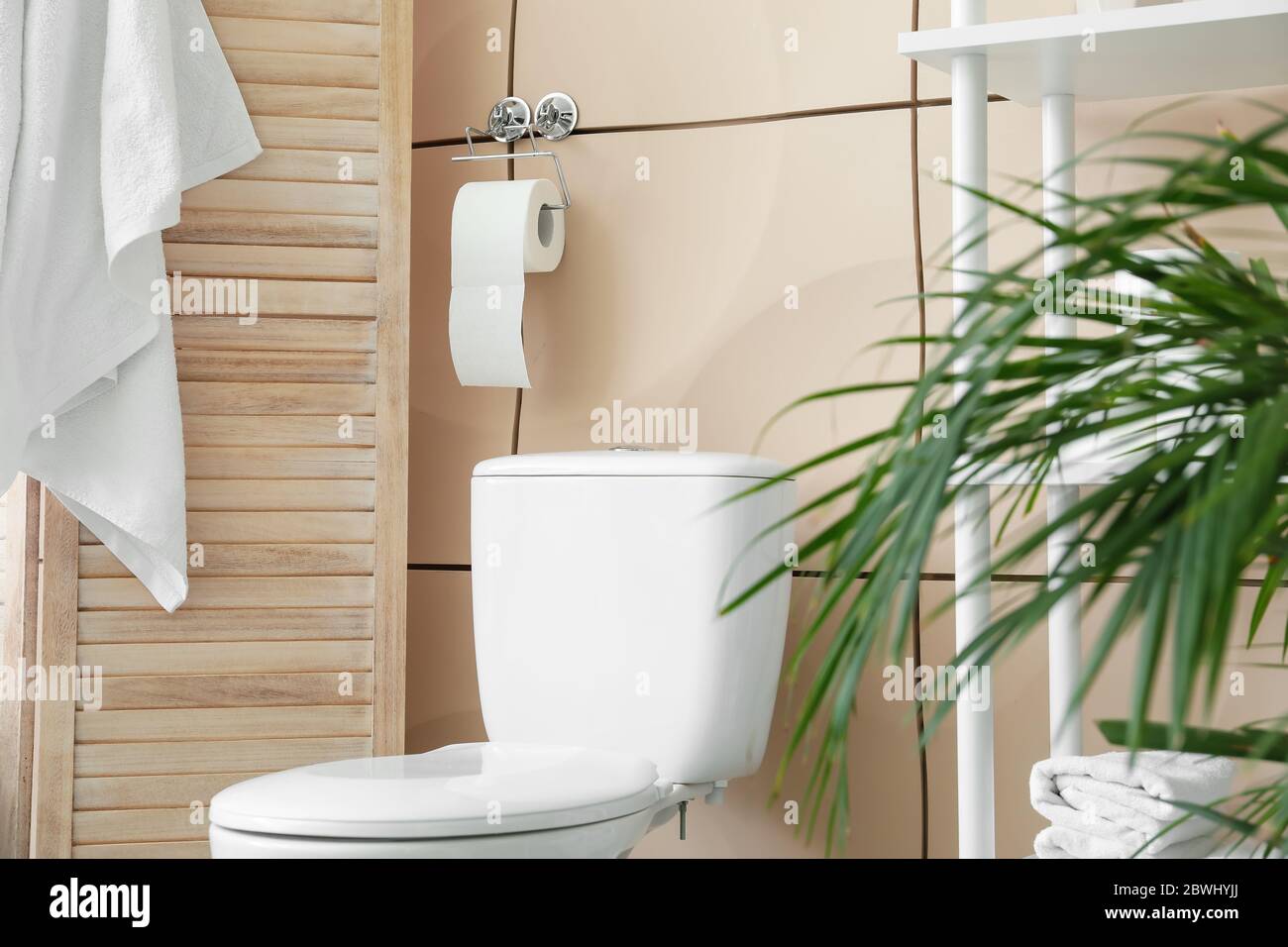 Toilet bowl and roll of paper in restroom Stock Photo - Alamy