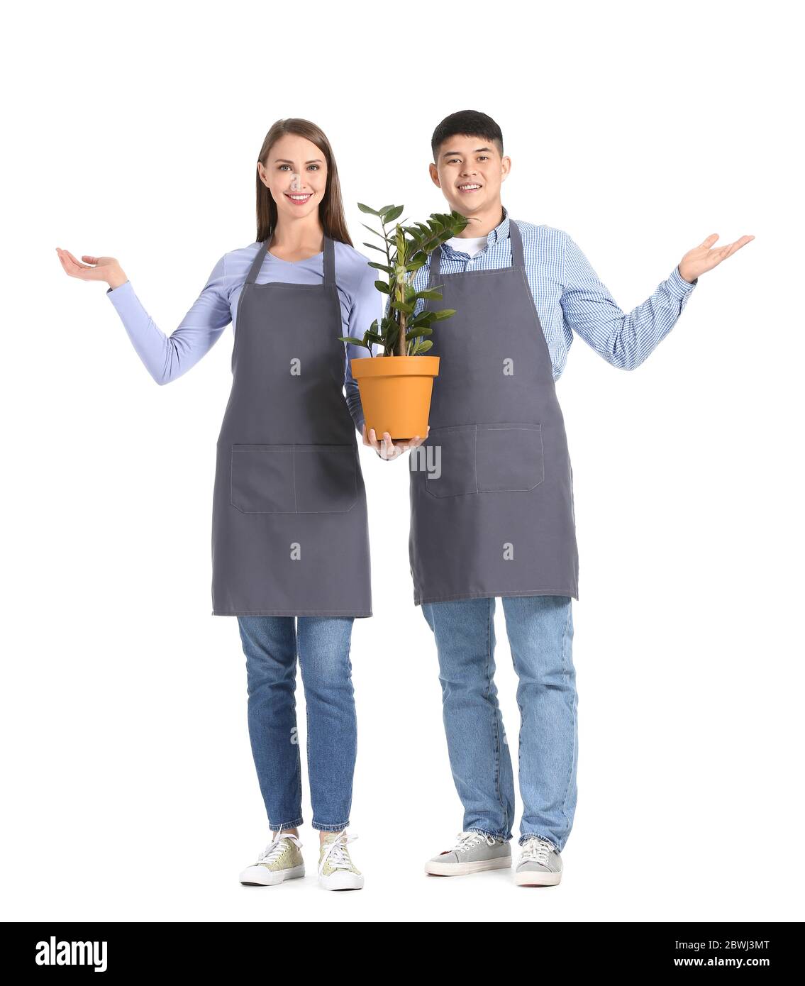 Portrait of florists with plant showing something on white background ...