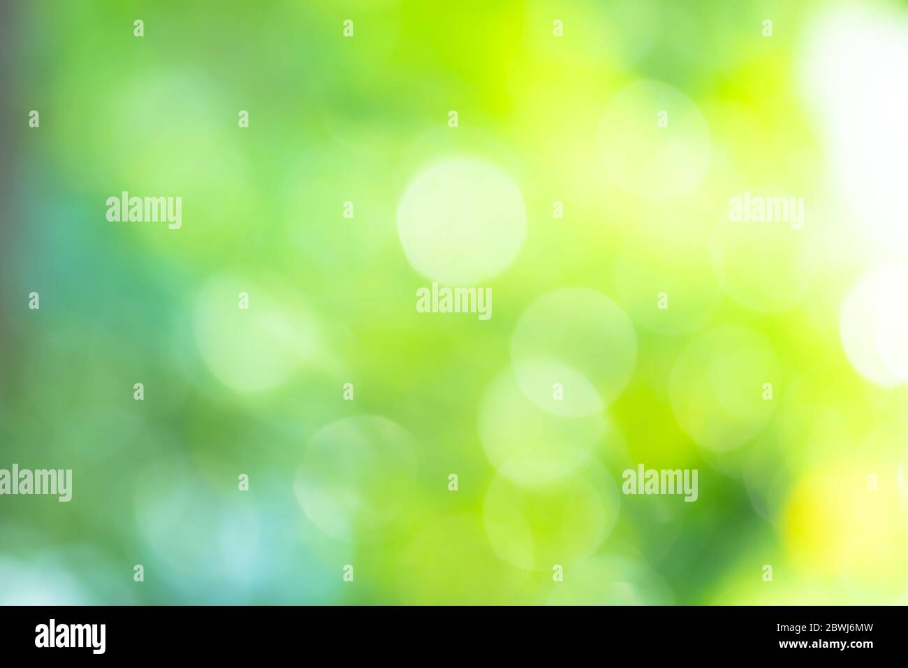 Green nature natural hi-res stock photography and images - Alamy