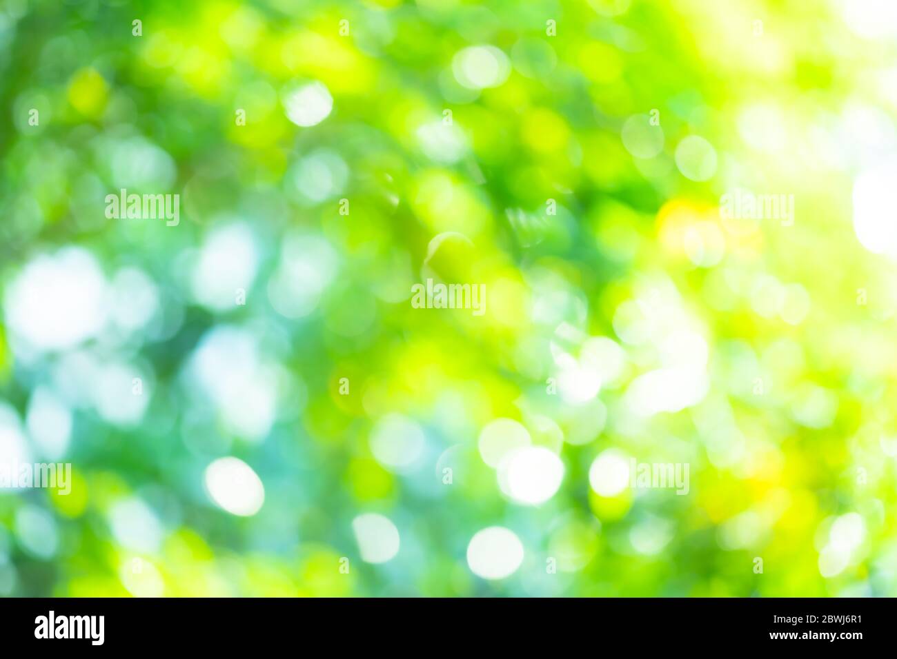 Lens blur natural blurry background hi-res stock photography and images ...