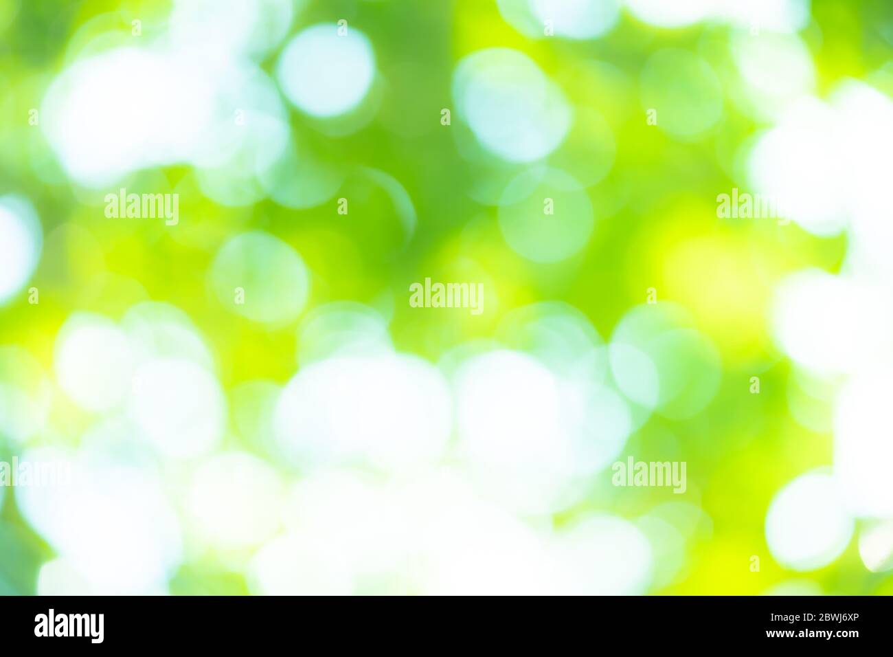 Green bokeh hi-res stock photography and images - Alamy