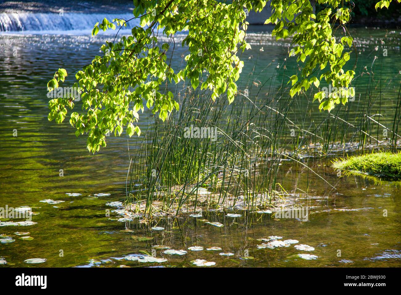 Local environment background hi-res stock photography and images - Alamy