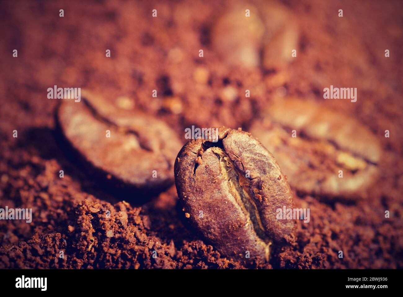 Fresh grounded beans hi-res stock photography and images - Alamy