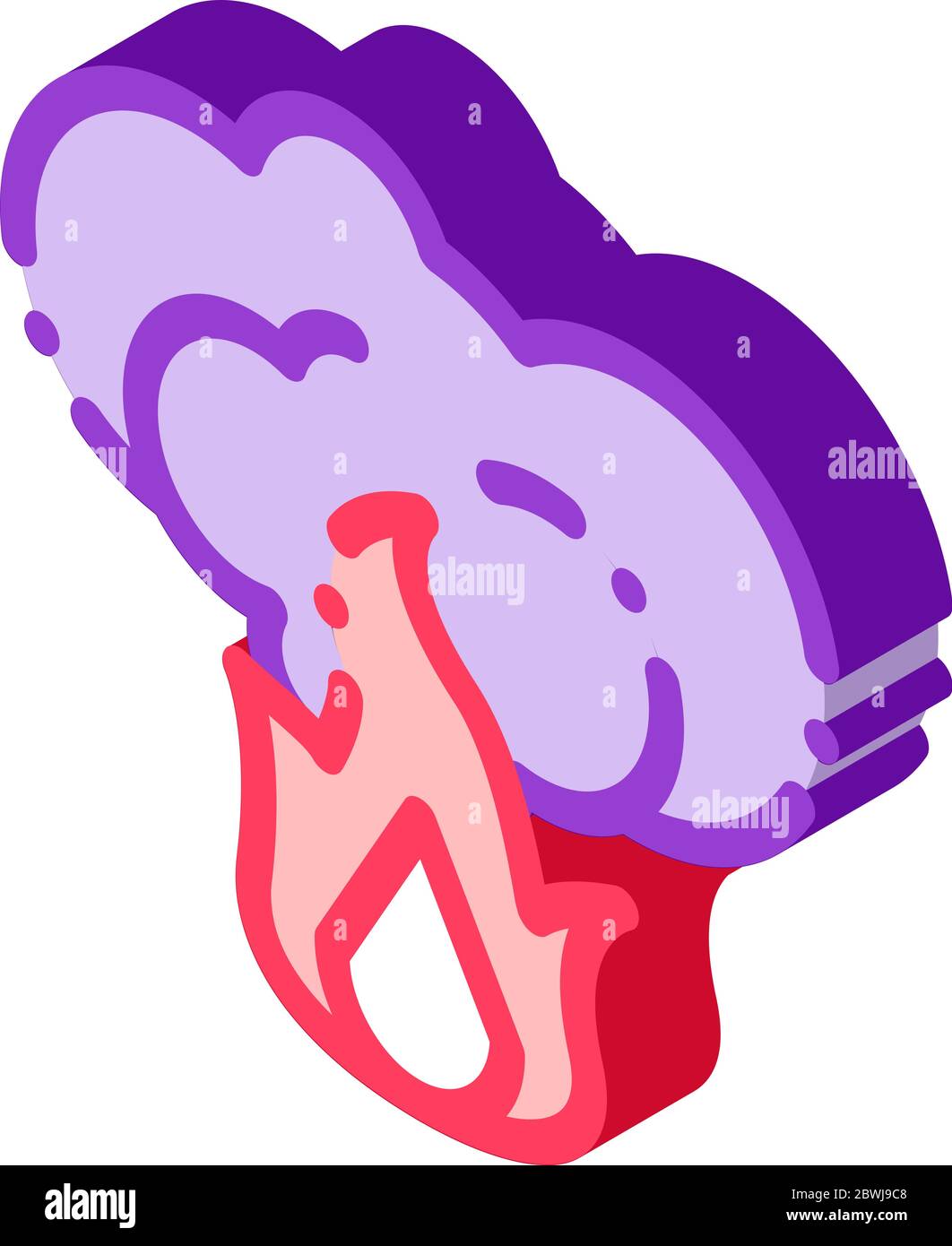 Fire With Smoke Wildfire isometric icon vector illustration Stock ...
