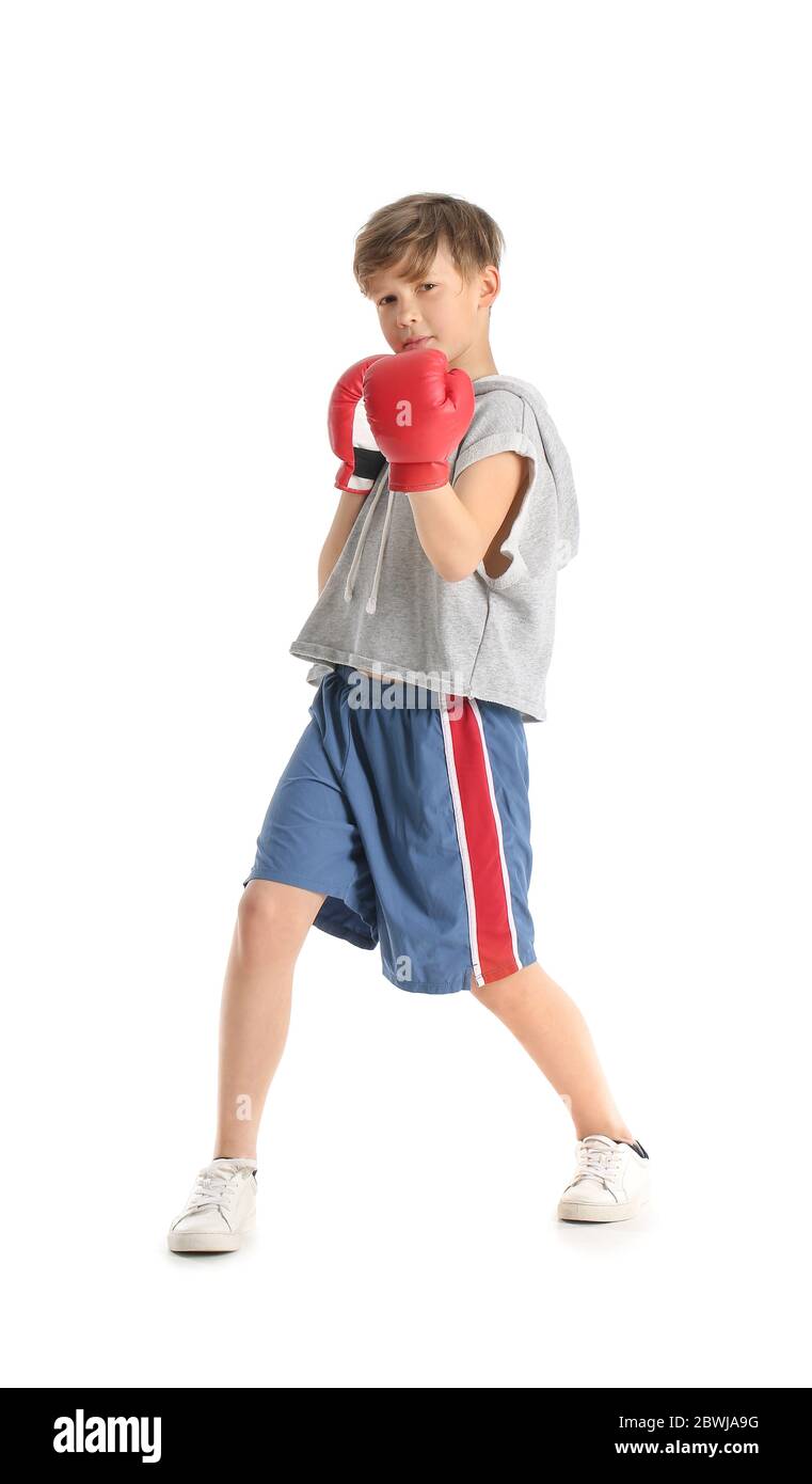 Cute little boxer on white background Stock Photo - Alamy