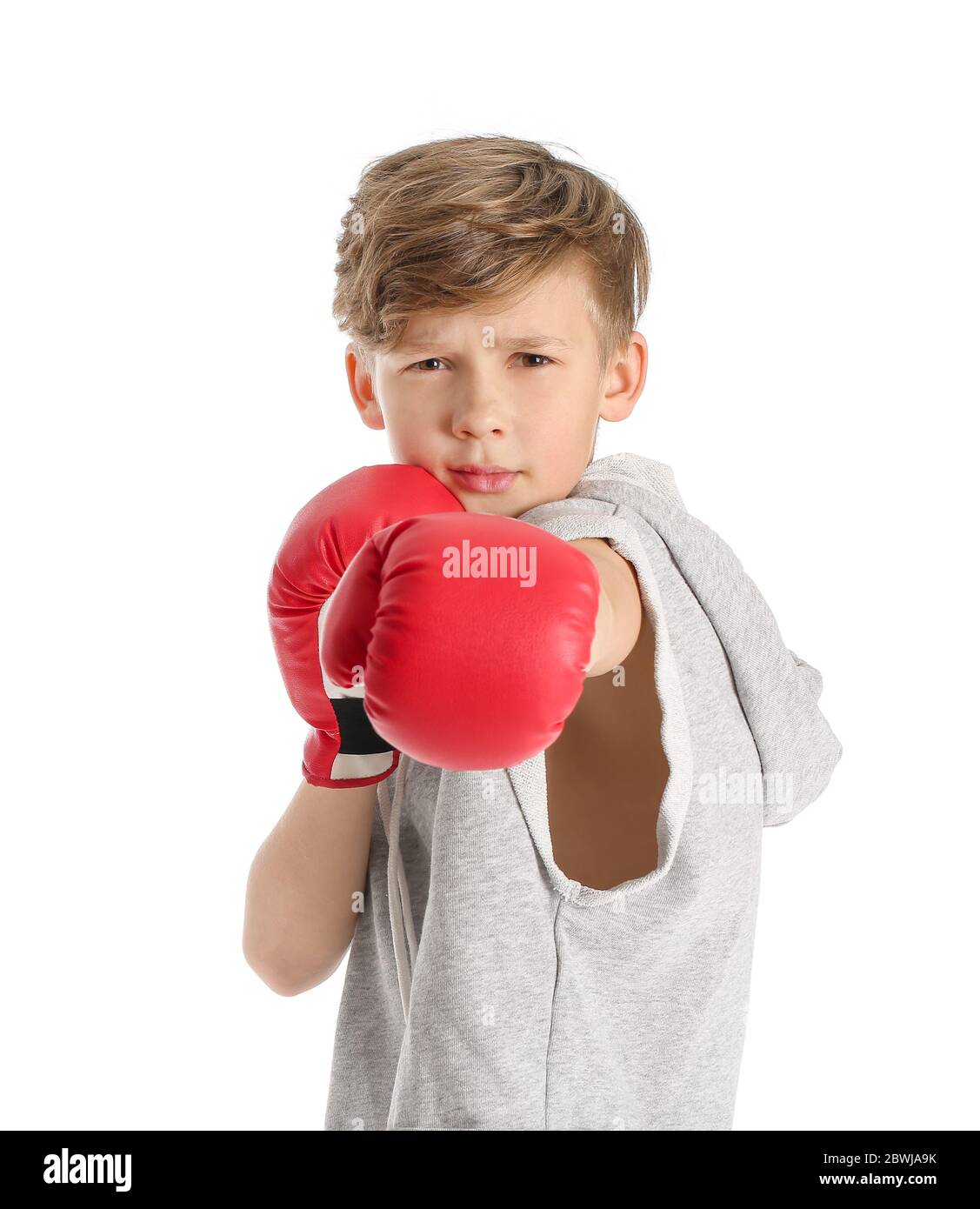 Cute little boxer on white background Stock Photo - Alamy