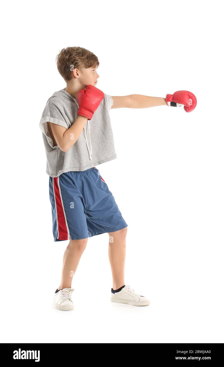 Cute little boxer on white background Stock Photo - Alamy