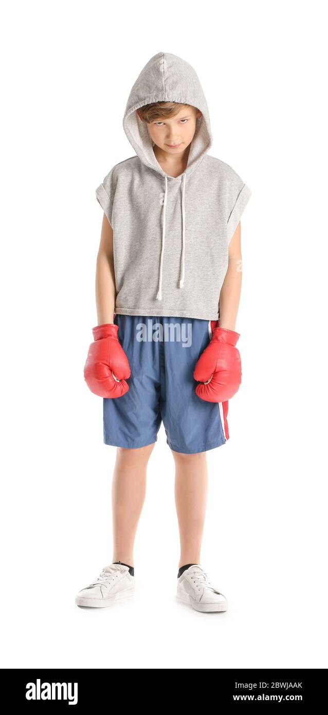 Cute little boxer on white background Stock Photo - Alamy