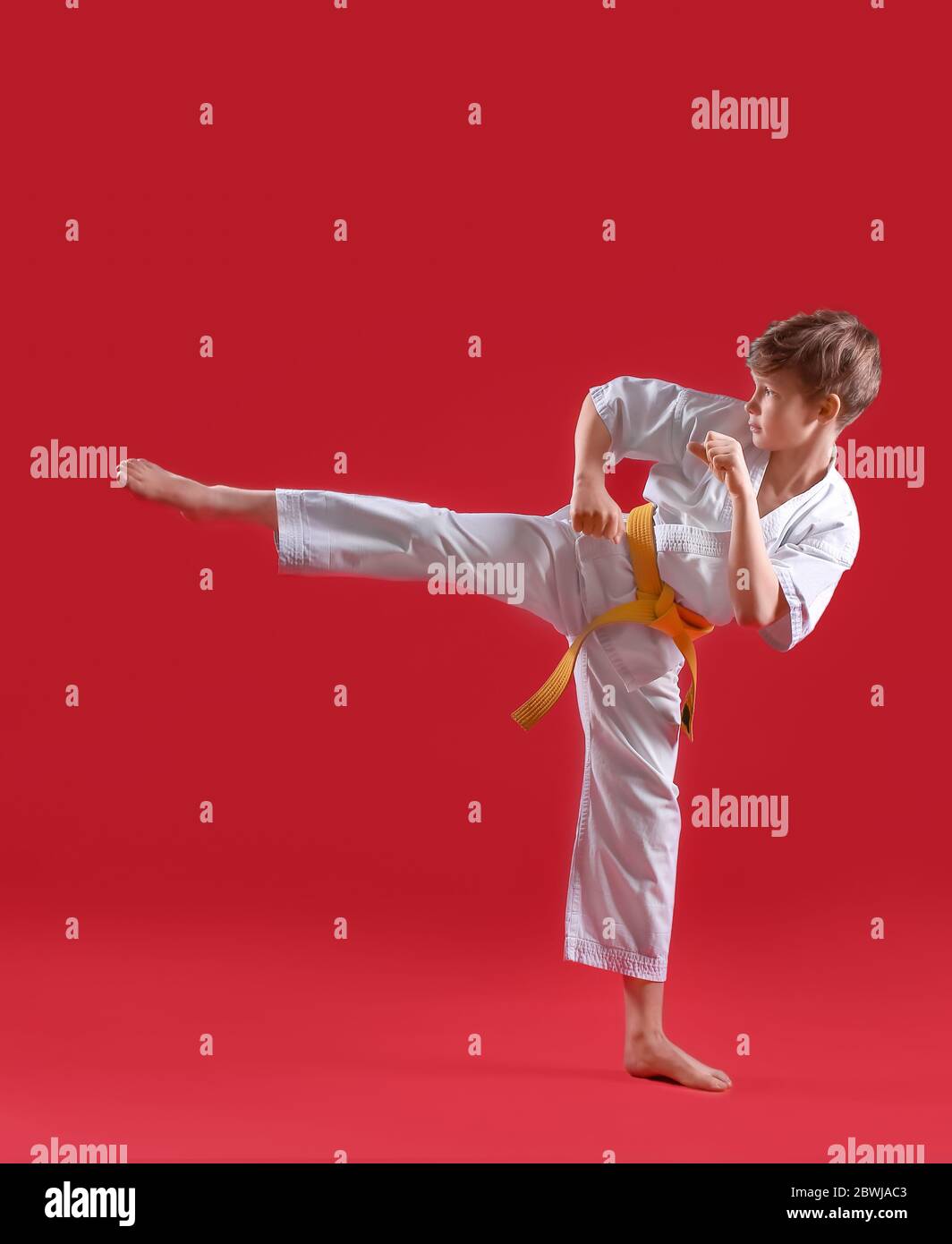 Karate Kid Background