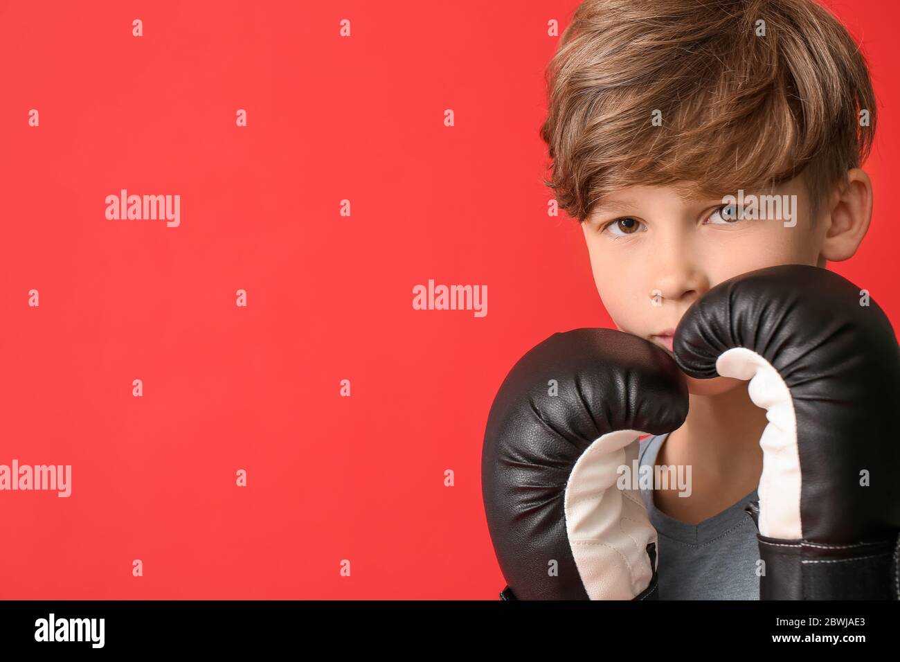 Little boxer hi-res stock photography and images - Alamy