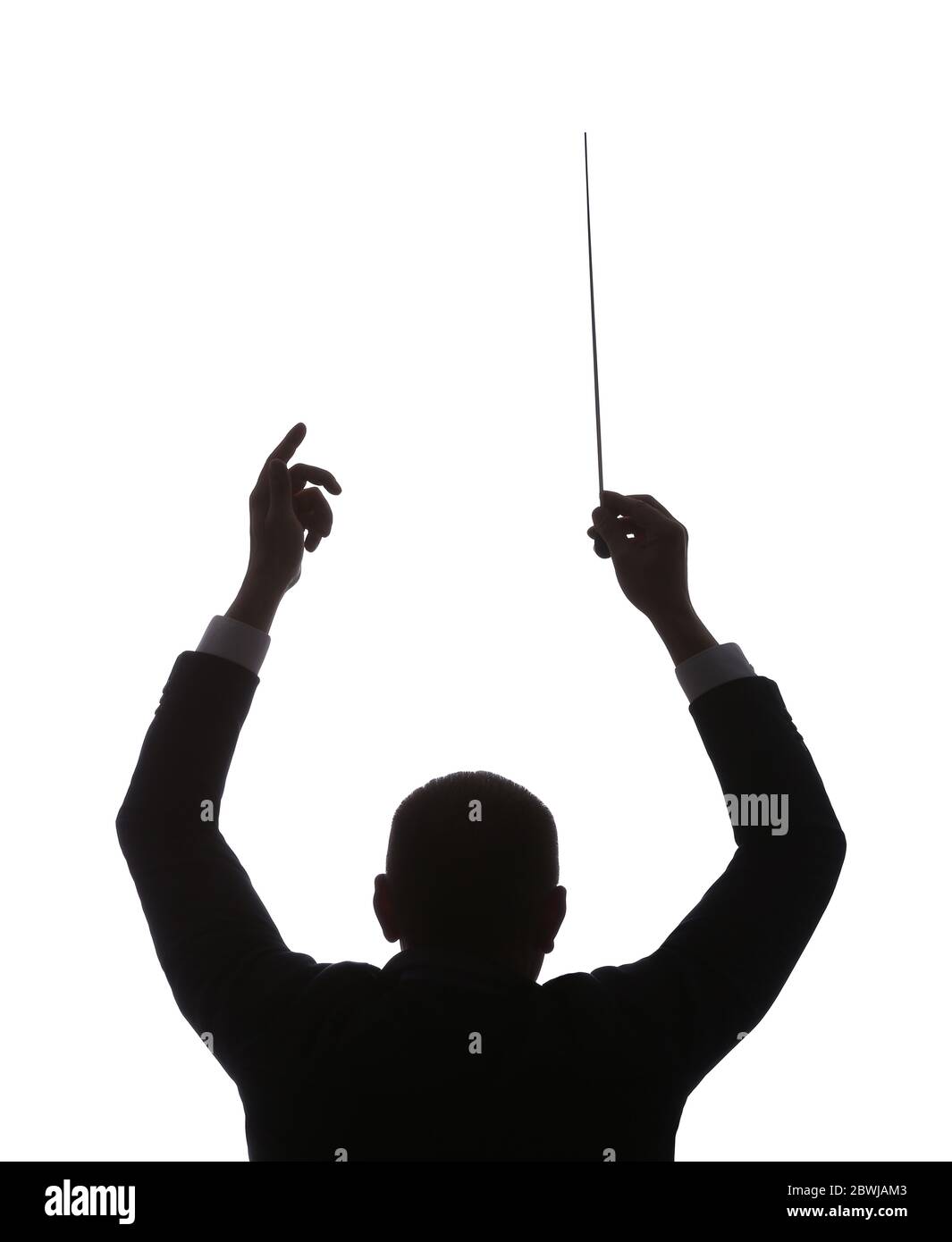 Silhouette of male conductor on white background Stock Photo - Alamy