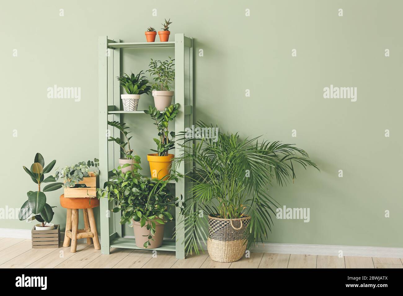 Green houseplants in interior of room Stock Photo - Alamy
