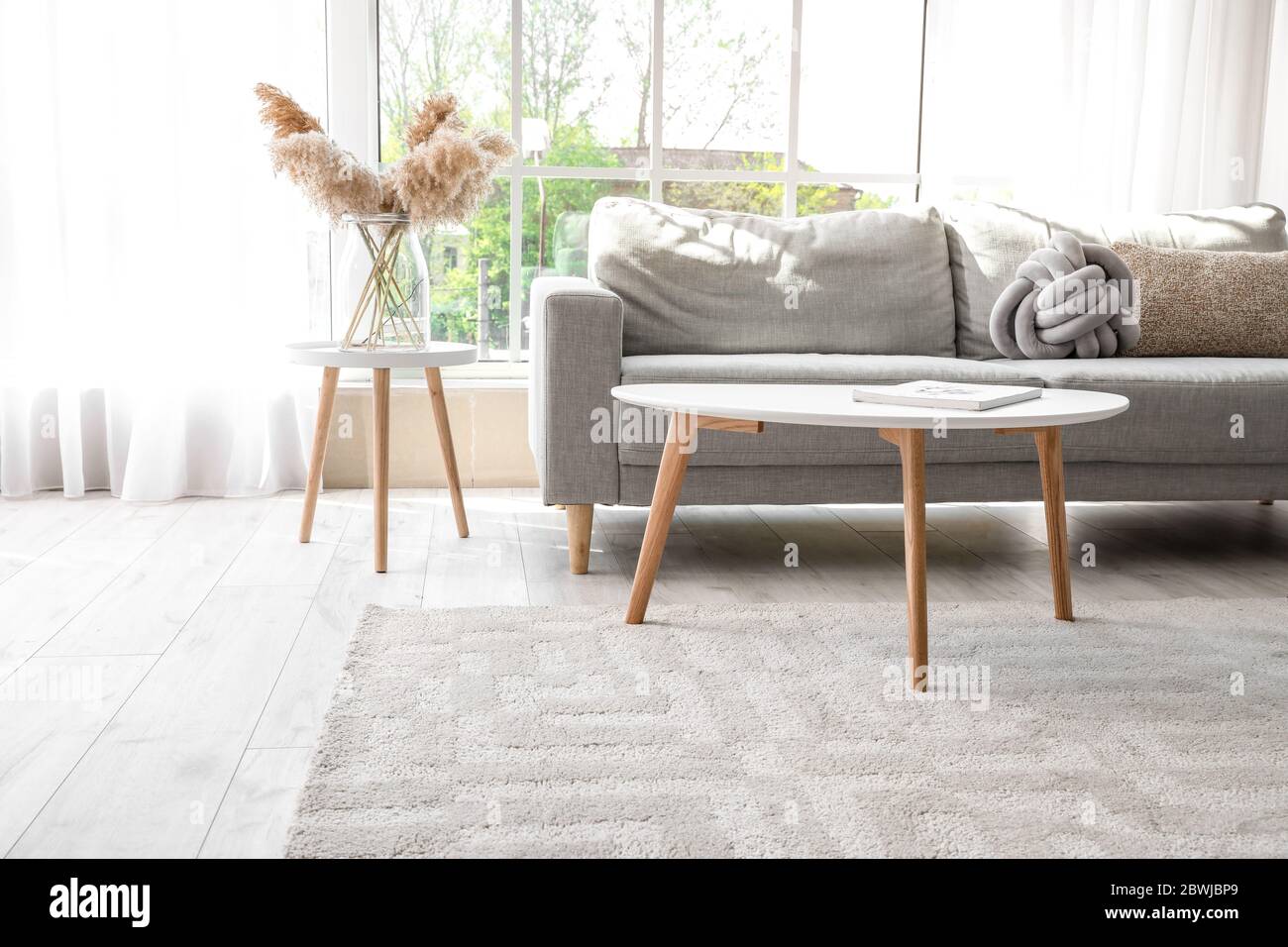 Stylish interior of living room with carpet, table and sofa Stock Photo ...
