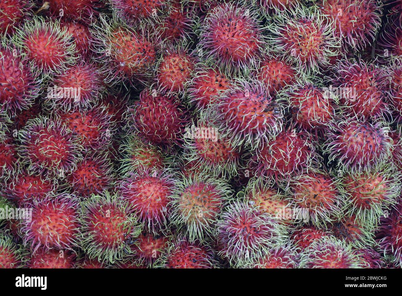 Hairy fruit hi-res stock photography and images - Alamy