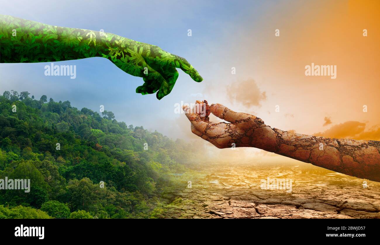 environment concept : greengrass hand on nature mountain and dry soil ...