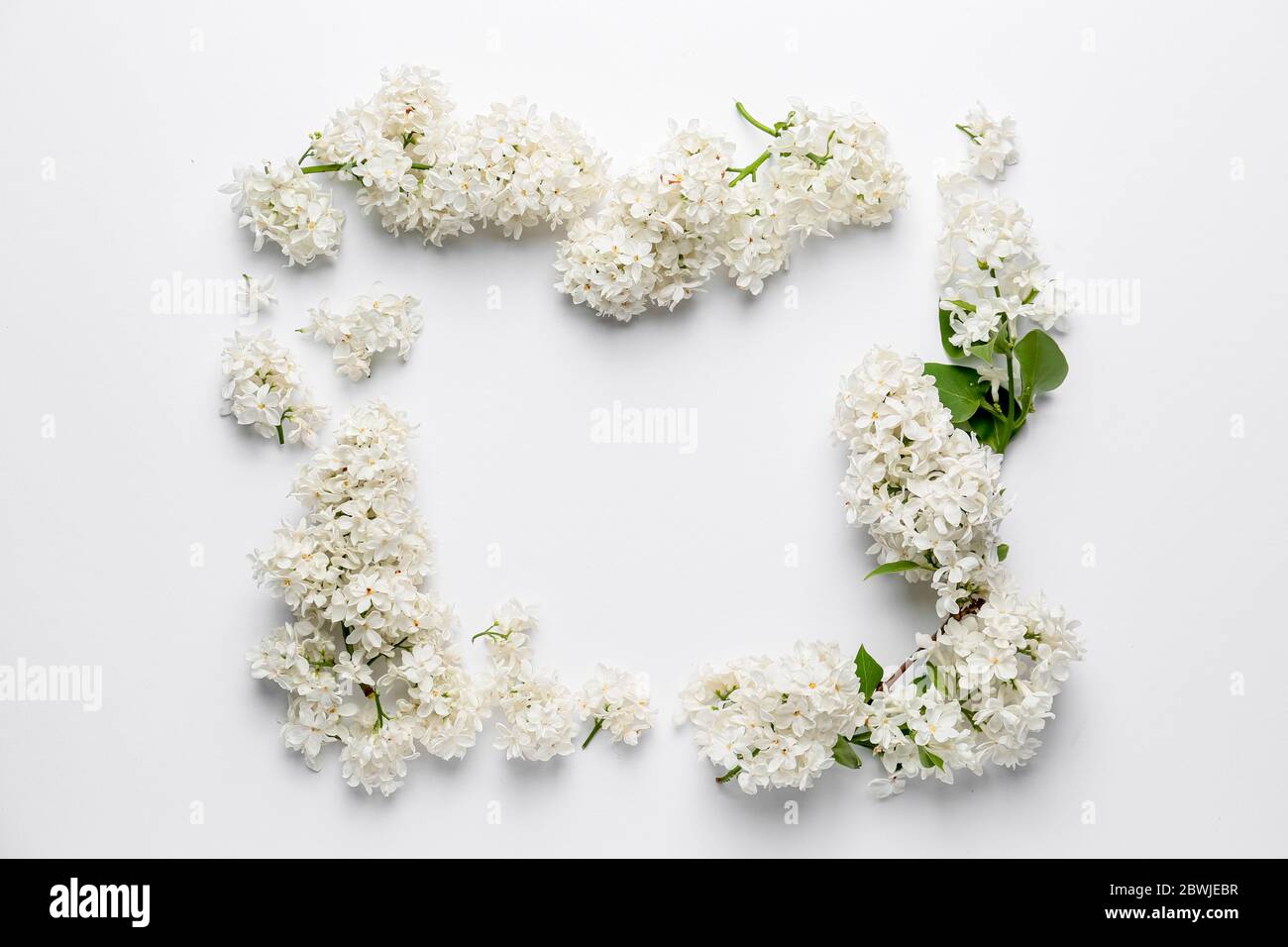 Frame made of beautiful lilac flowers on white background Stock Photo ...
