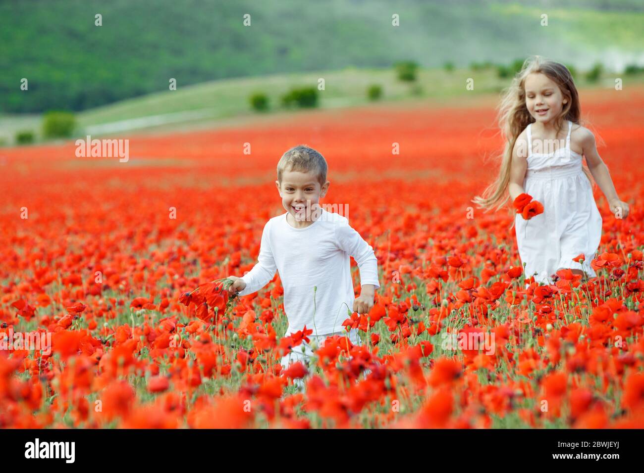 Children in nature have fun Stock Photo - Alamy