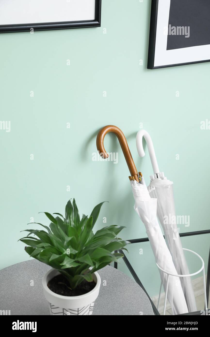 Stylish umbrellas in interior of hall Stock Photo - Alamy