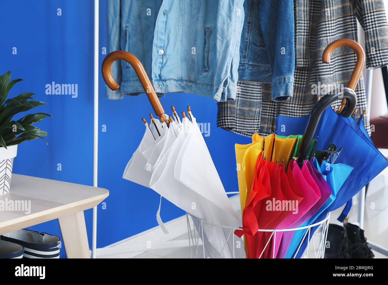 Stylish umbrellas in interior of hall Stock Photo - Alamy