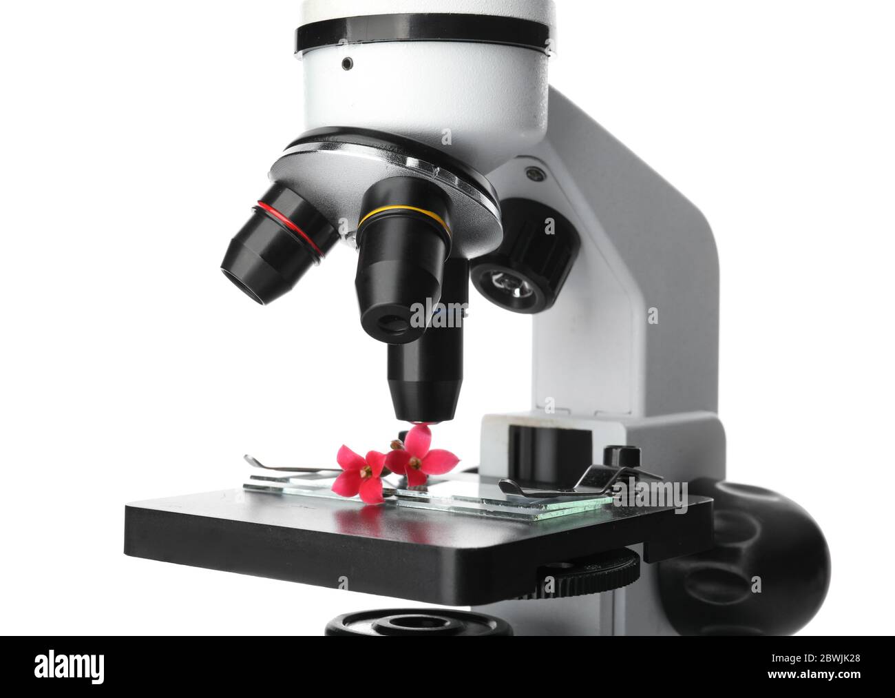 Modern microscope on white background, closeup Stock Photo - Alamy
