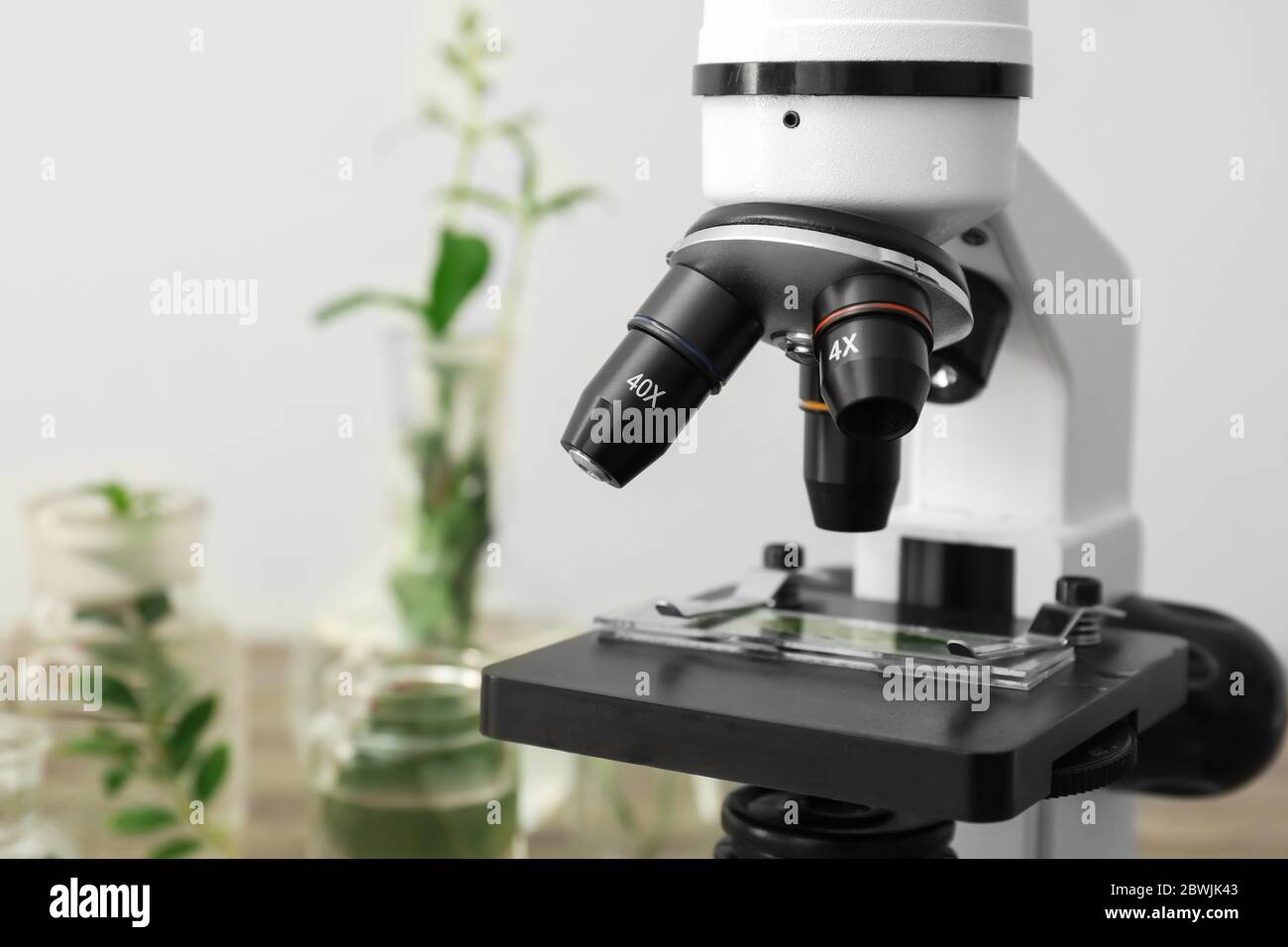 Light microscope sample table hi-res stock photography and images - Alamy